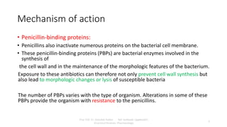 Pharmacology - Cell wall inhibitors 1 | PDF