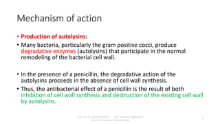 Pharmacology - Cell wall inhibitors 1 | PDF