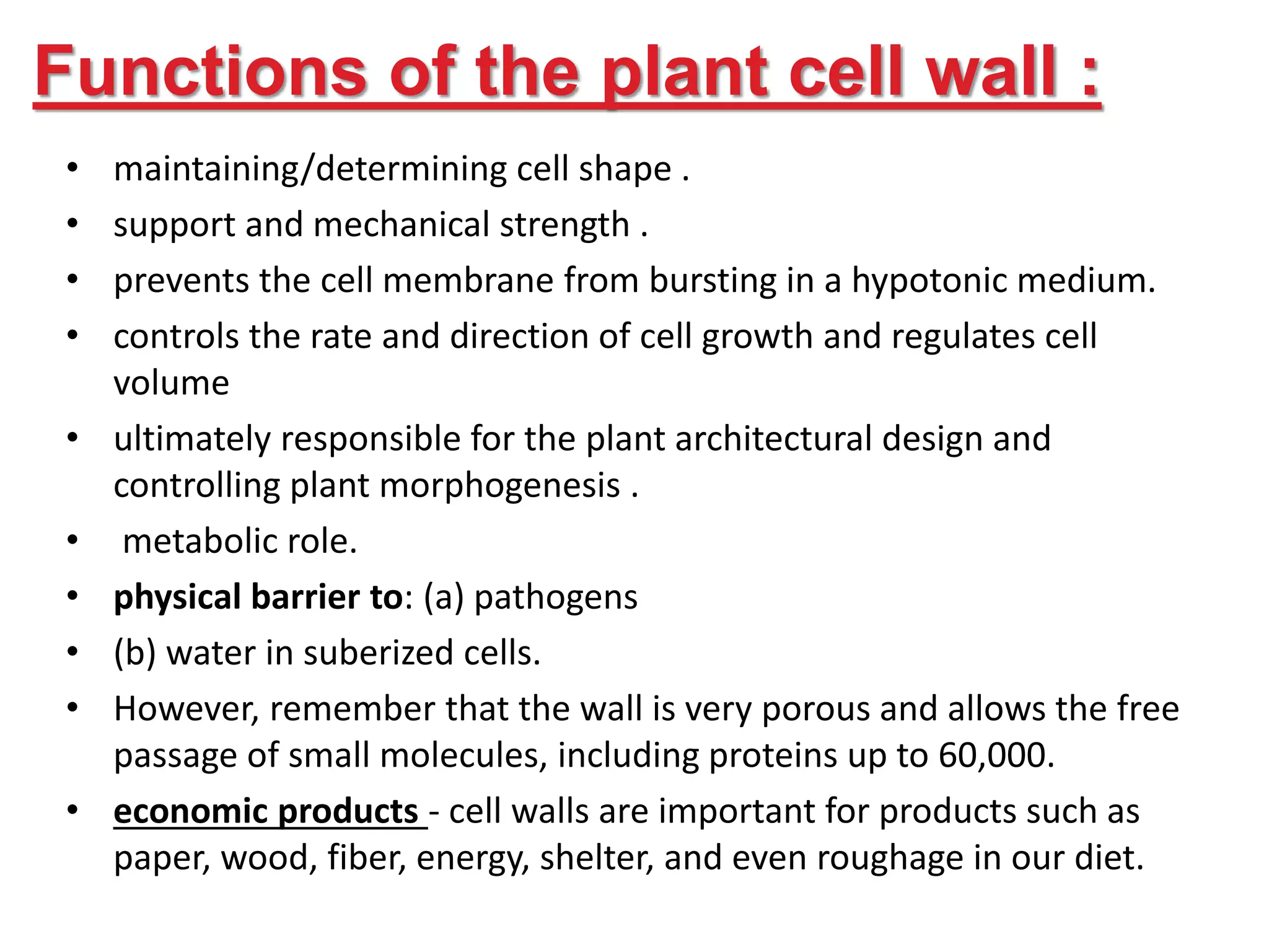 Cell wall in plants | PPTX