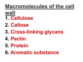 Cell wall in plants | PPTX