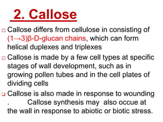 Cell wall in plants | PPTX