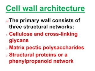 Cell wall in plants | PPTX