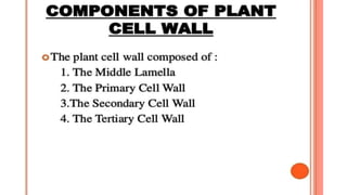cell wall msc.pptx