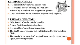 cell wall msc.pptx