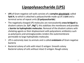 Cell Wall of bacteria a brief description | PDF