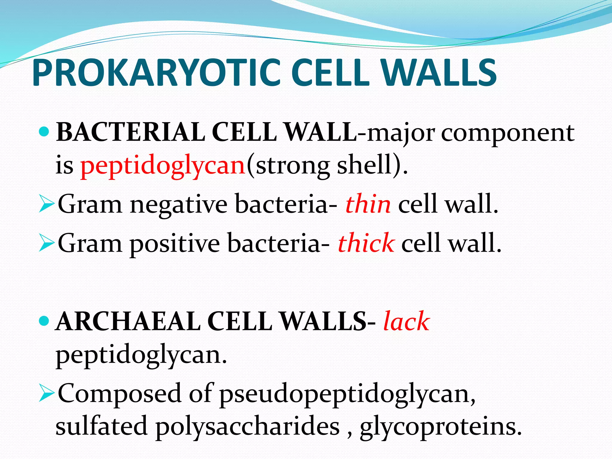 Cell wall ppt | PPTX