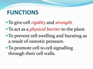Cell wall ppt | PPTX