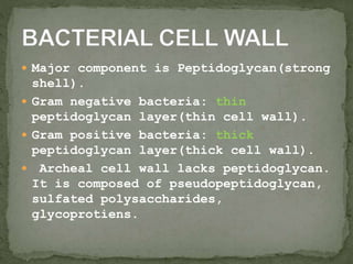 Cell walls and extracellular matrix | PPTX