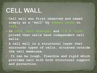 Cell walls and extracellular matrix | PPT