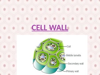 Cell wall structure and functions .pptx