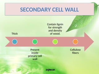 Cell wall structure and functions .pptx
