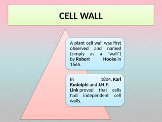 Cell wall structure and functions .pptx