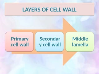 Cell wall structure and functions .pptx