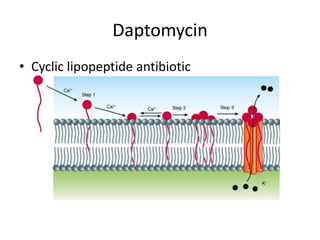 Cell Wall Synthesis Inhibitors & Protein Syn.pptx