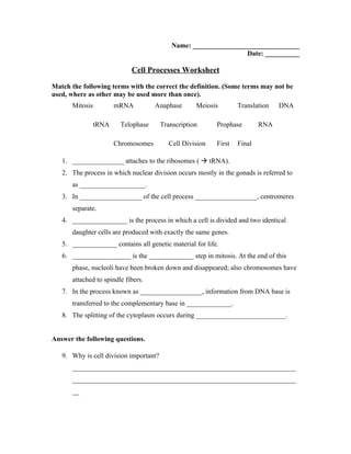 Cell wikki worksheet | PDF