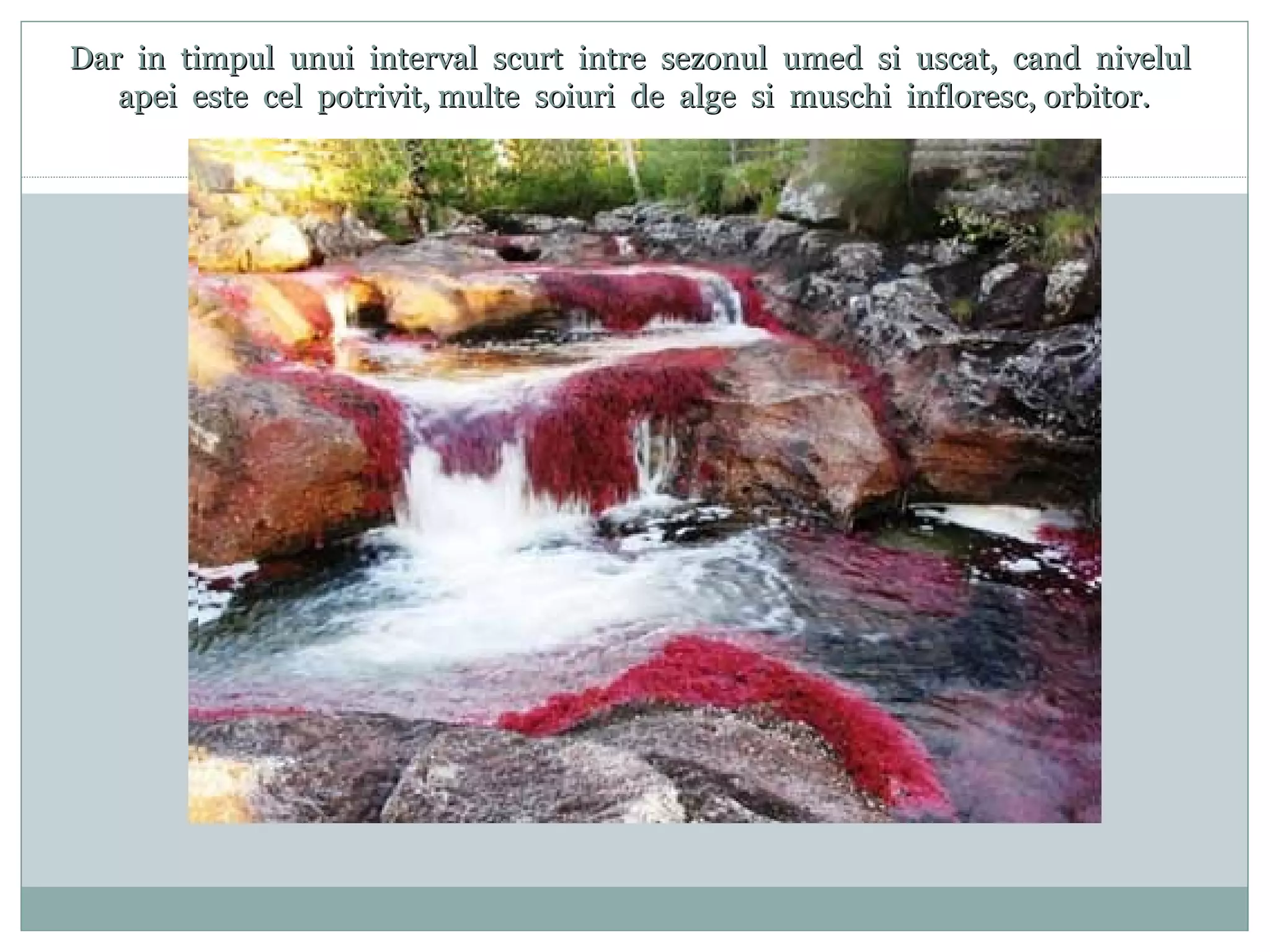 Cel mai colorat rau | PPS