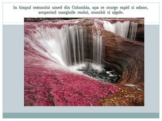 Cel mai colorat rau | PPS