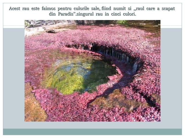 Cel mai colorat rau | PPS