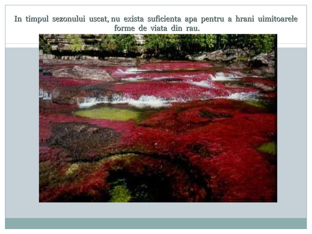 Cel mai colorat rau | PPT