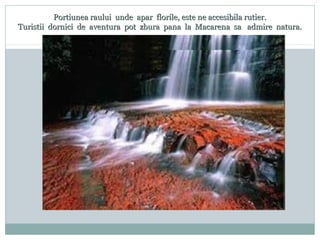 Cel mai colorat rau | PPS