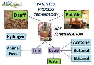 Celtic renewables ltd how to build a tech start up | PDF