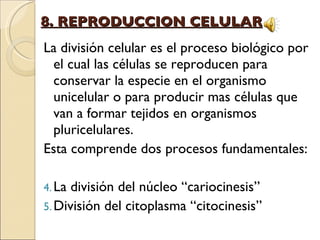 Celula | PPT