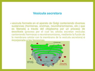 Celula animal | PPTX