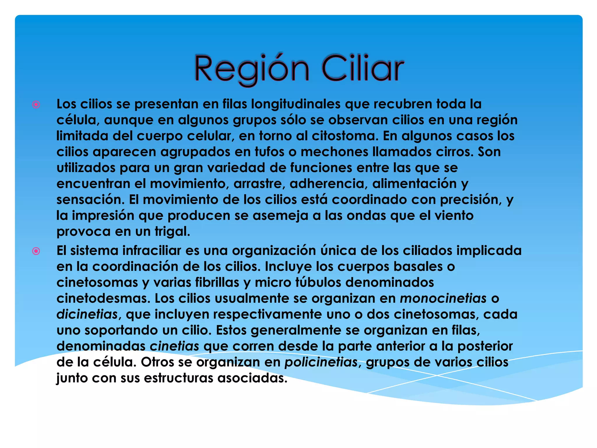 Celula bacteriana | PPTX