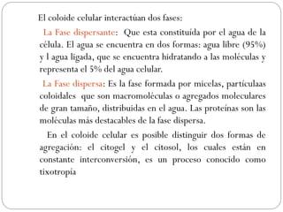 celula citoplasma del cuerpo humano y sus funciones | PPT
