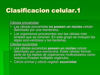 Celula completa | PPTX