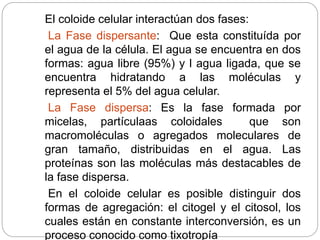 Célula estructura, morfología y funciones.ppt