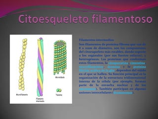 Celula exponer 1 | PPTX