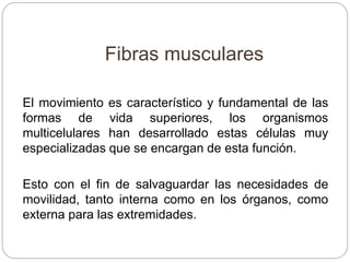 Célula muscular | PPTX