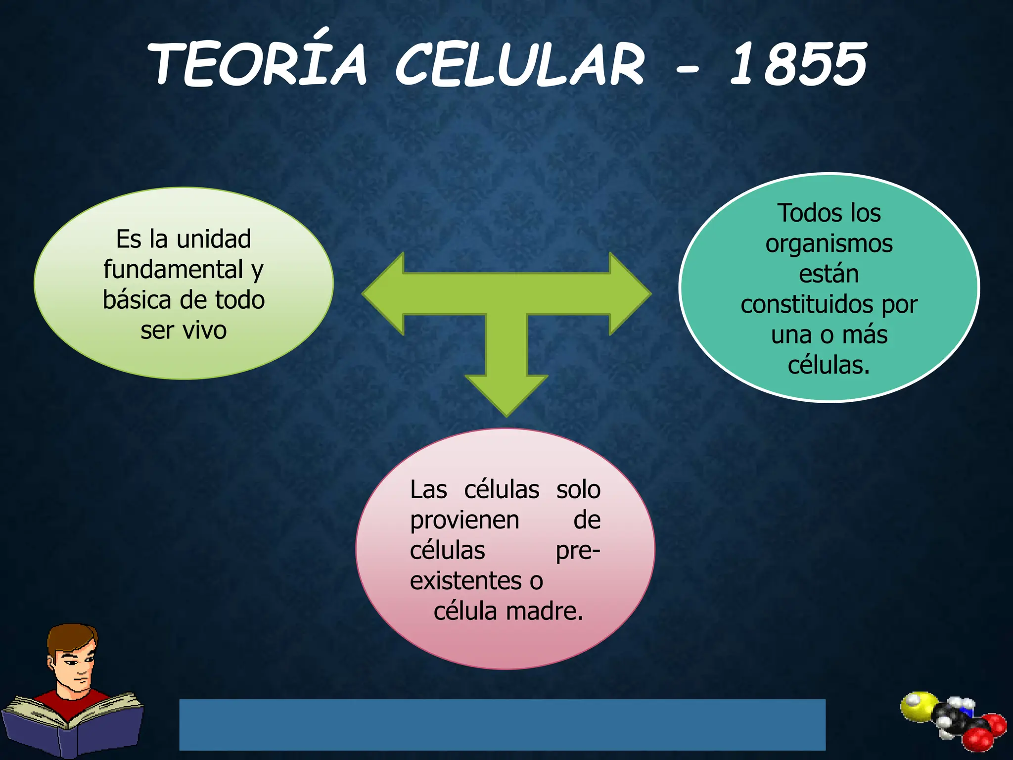 La célula, partes, teoría celular y partes de la célula | PPT