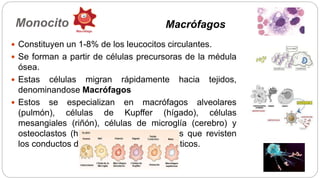 Celulas-Del-Sistema-Inmune.pptx