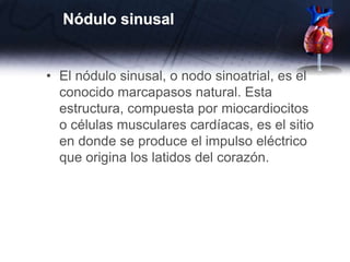 celulas cardiacas.pptx