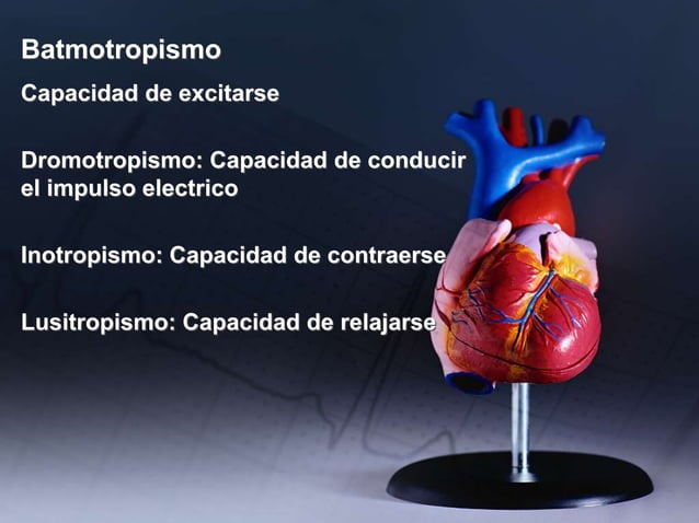 celulas cardiacas.pptx