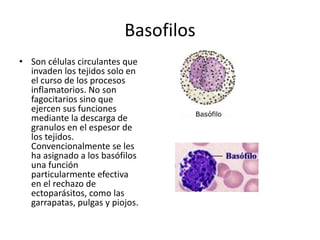 Celulas del sistema inmune | PPTX