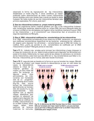 Células dentro de células una hipótesis extraordinaria con evidencias ...