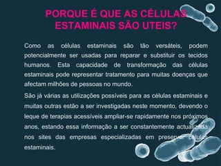 Celulas estaminais | PPTX