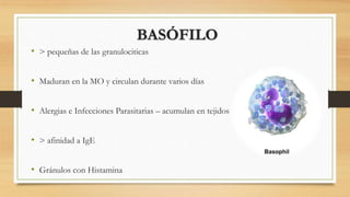 Celulas inflamatorias, fagocitosis e inmunidad innata | PPTX