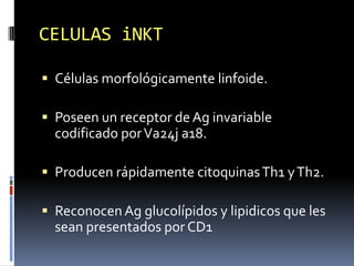 Celulas linfoides | PPT
