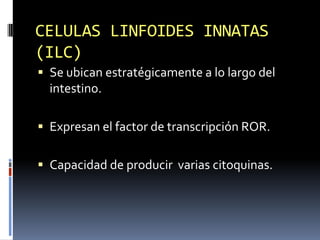 Celulas linfoides | PPT