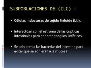 Celulas linfoides | PPT
