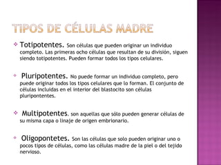 Celulas madre | PPS