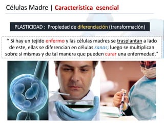 Células Madre [Stem Cells] | PPTX