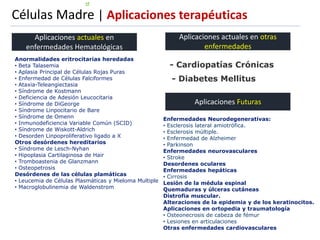 Células Madre [Stem Cells] | PPTX