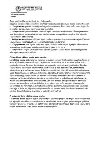 Celulas madres | DOC