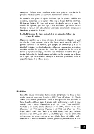 Celulas madre totipotentes | DOCX