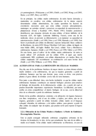 Celulas madre totipotentes | DOCX